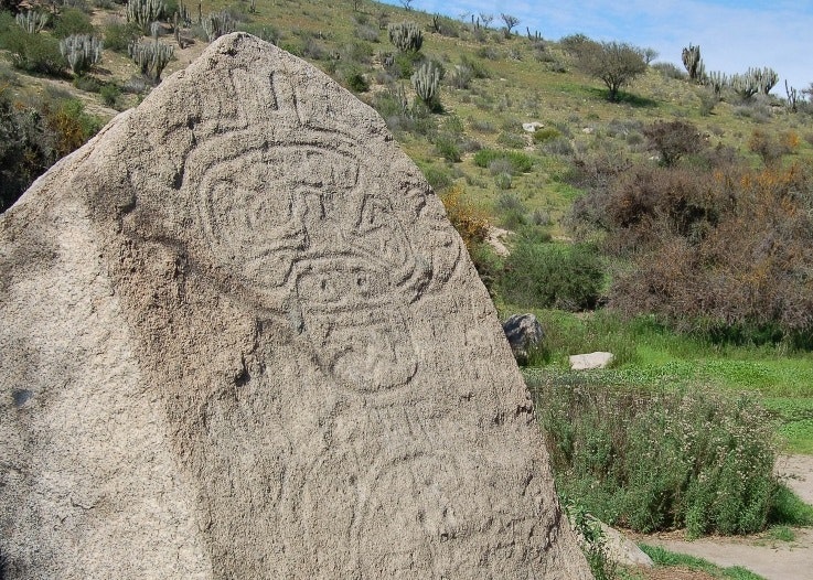 Encanto Valley – Ovalle and Fray Jorge National Park Chile