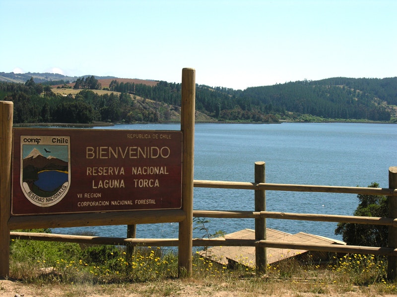 Torca Lagoon National Reserve – Curico Valley and Radal Siete Tazas ...