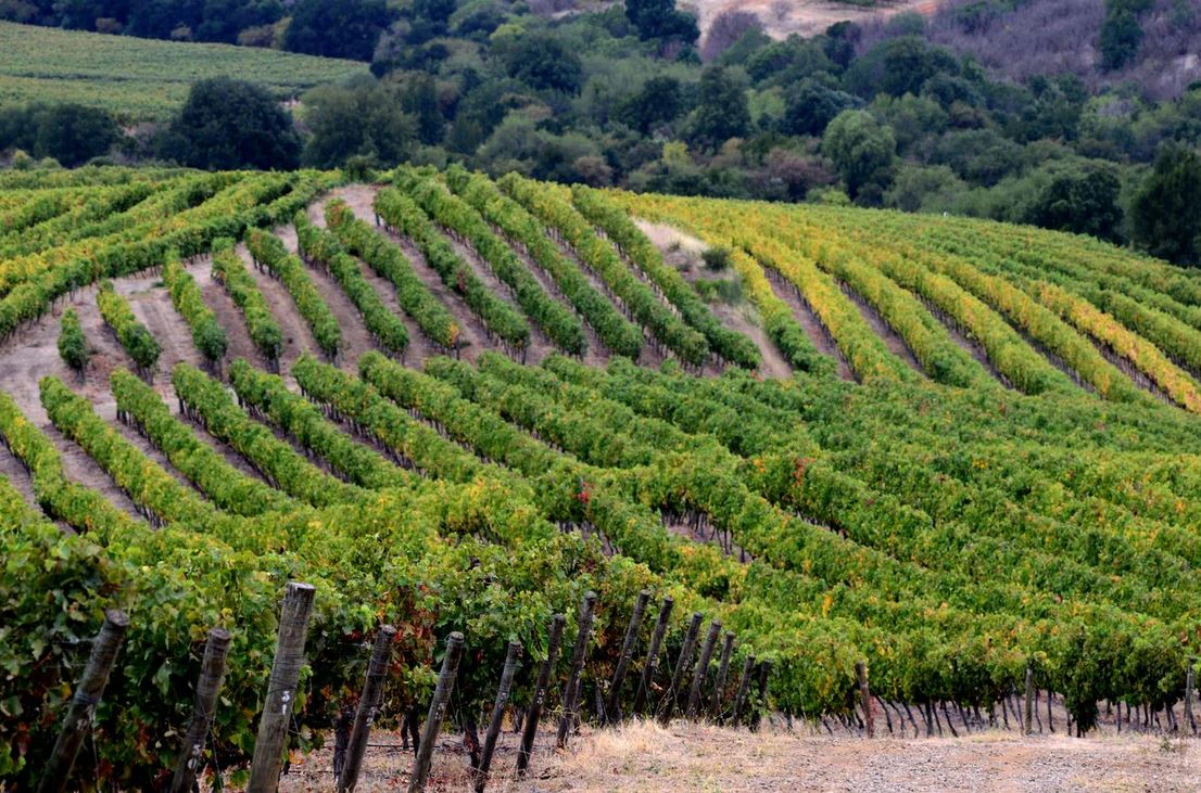 Maule Valley and Talca