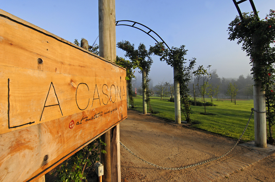 Hotel Boutique La Casona Matetic - Información, Tarifas y Reservas